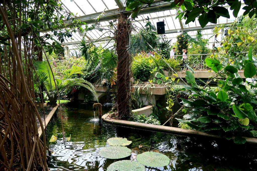 Kew Gardens London - A Visit To The Royal Botanic Gardens