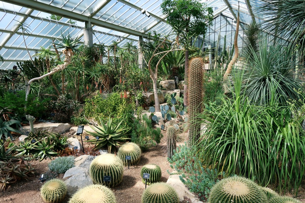 Kew Gardens London - A Visit To The Royal Botanic Gardens