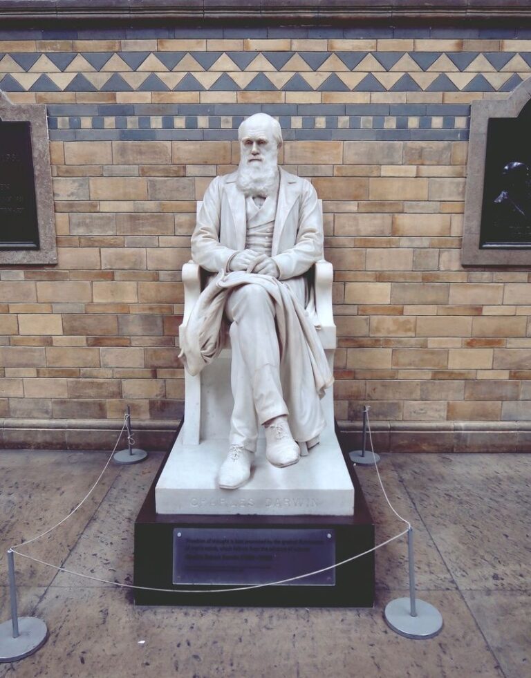 National History Museum | Visiting The Ostro Stone This Autumn